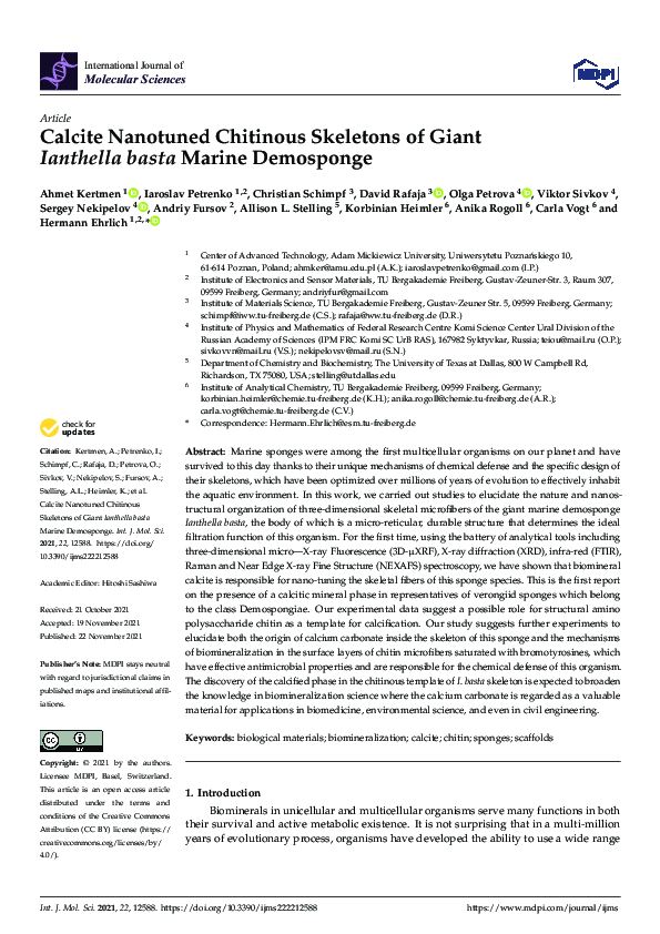(PDF) Calcite Nanotuned Chitinous Skeletons of Giant Ianthella basta ...