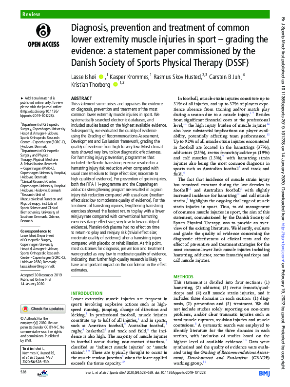 (PDF) Diagnosis, prevention and treatment of common lower extremity ...