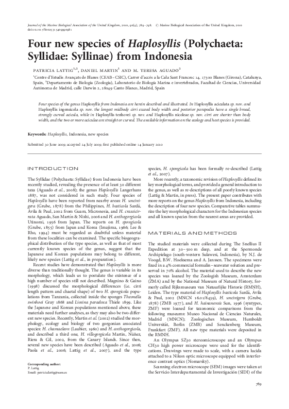 (PDF) Four new species ofHaplosyllis(Polychaeta: Syllidae: Syllinae ...