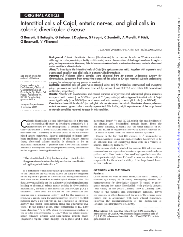 (PDF) Interstitial cells of Cajal, enteric nerves, and glial cells in ...