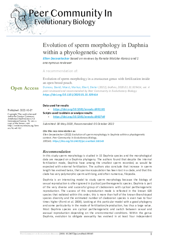 (PDF) Evolution of sperm morphology in Daphnia within a phyologenetic ...