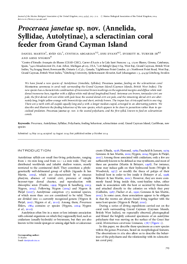 (PDF) Proceraea janetaesp. nov. (Annelida, Syllidae, Autolytinae), a ...