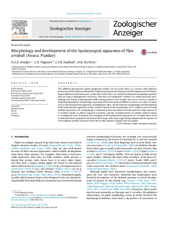(PDF) Morphology and development of the hyolaryngeal apparatus of Pipa ...