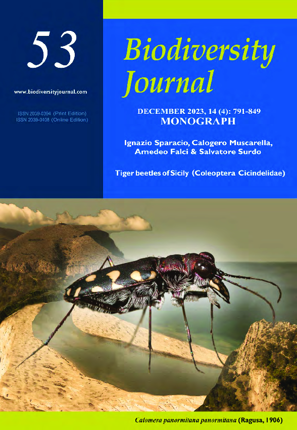 (PDF) Tiger beetles of Sicily (Coleoptera Cicindelidae)