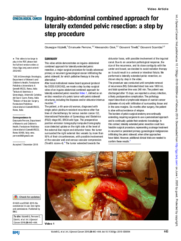 (PDF) Inguino-abdominal combined approach for laterally extended pelvic ...