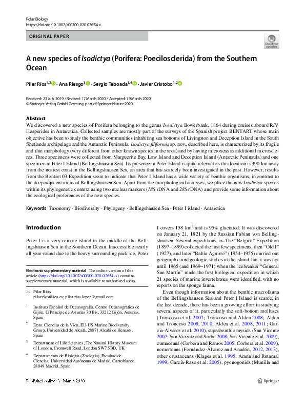(PDF) A new species of Isodictya (Porifera: Poecilosclerida) from the ...