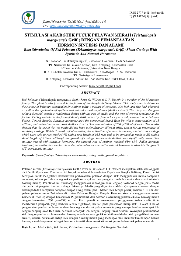 (PDF) STIMULASI AKAR STEK PUCUK PELAWAN MERAH (Tristaniopsis marguensis ...