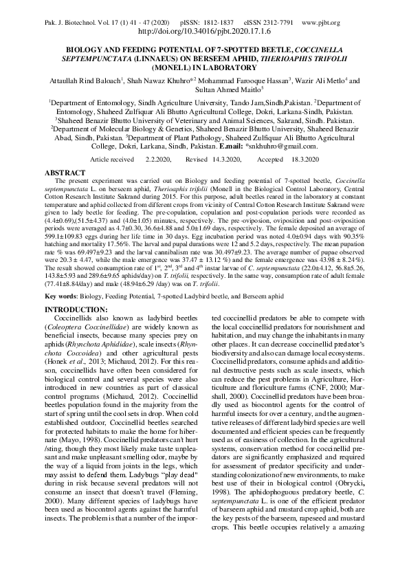 (PDF) Biology and Feeding Potential of 7-SPOTTED Beetle, Coccinella ...