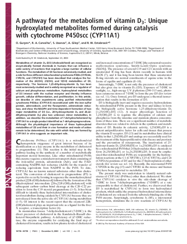 (PDF) A pathway for the metabolism of vitamin D 3 : Unique hydroxylated ...