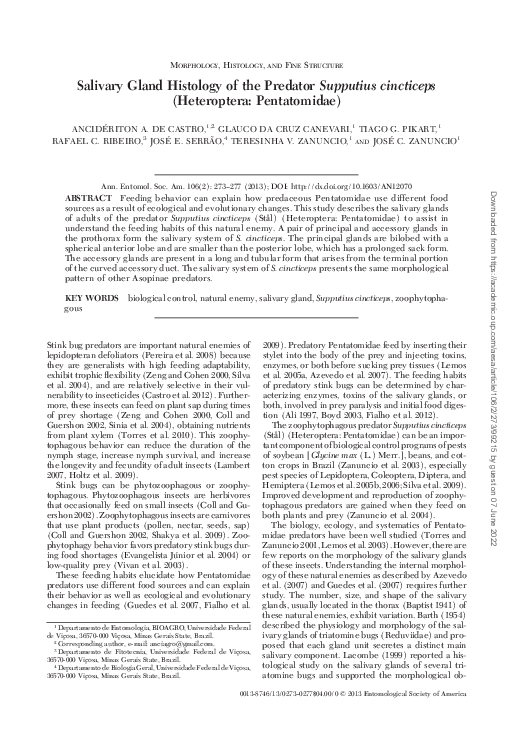 (PDF) Salivary Gland Histology of the Predator Supputius cincticeps ...