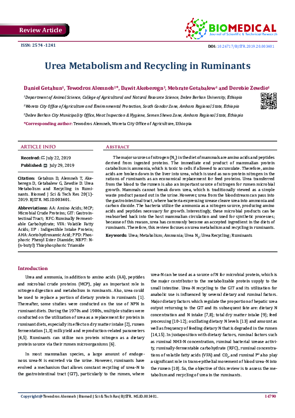 (PDF) Urea Metabolism and Recycling in Ruminants