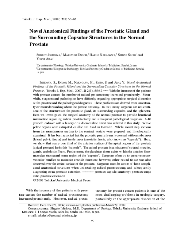 (PDF) Novel Anatomical Findings of the Prostatic Gland and the ...