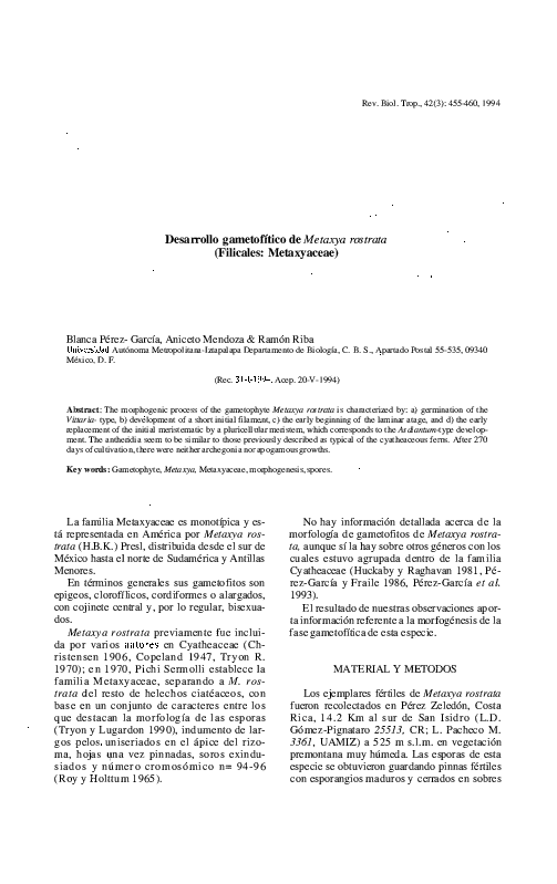 (PDF) Desarrollo gametofítico de Metaxya rostrata (Filicales: Metaxyaceae)
