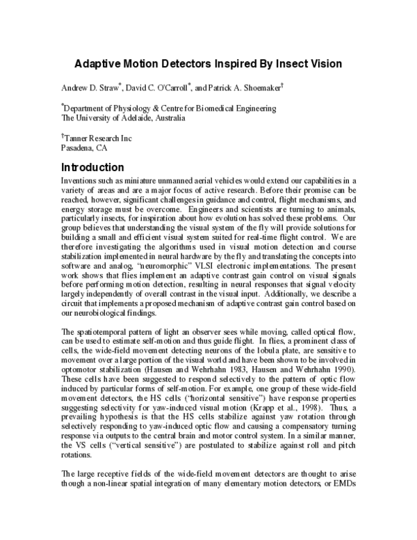 (PDF) Adaptive Motion Detectors Inspired By Insect Vision