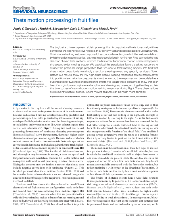(PDF) Theta motion processing in fruit flies