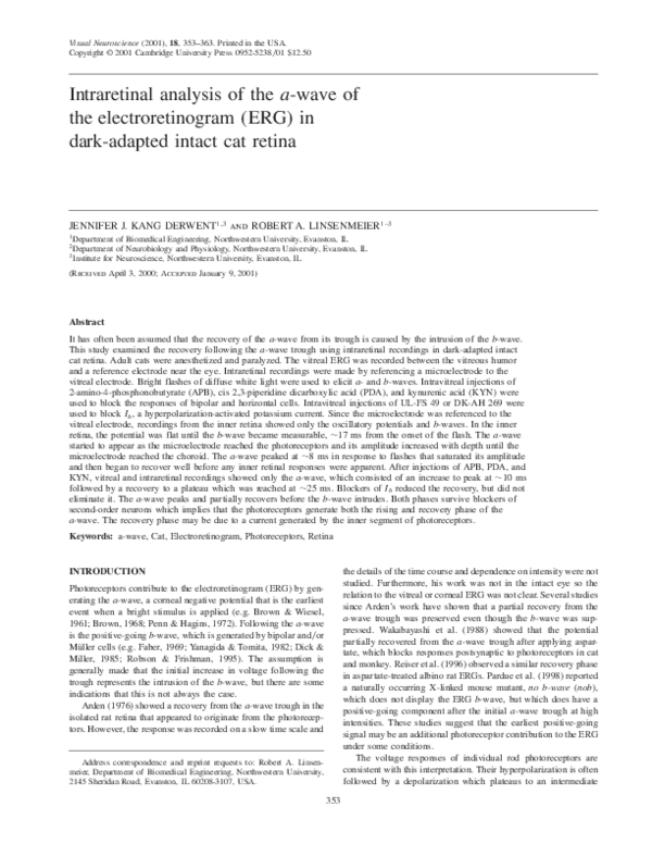 (PDF) Intraretinal analysis of the a-wave of the electroretinogram (ERG ...
