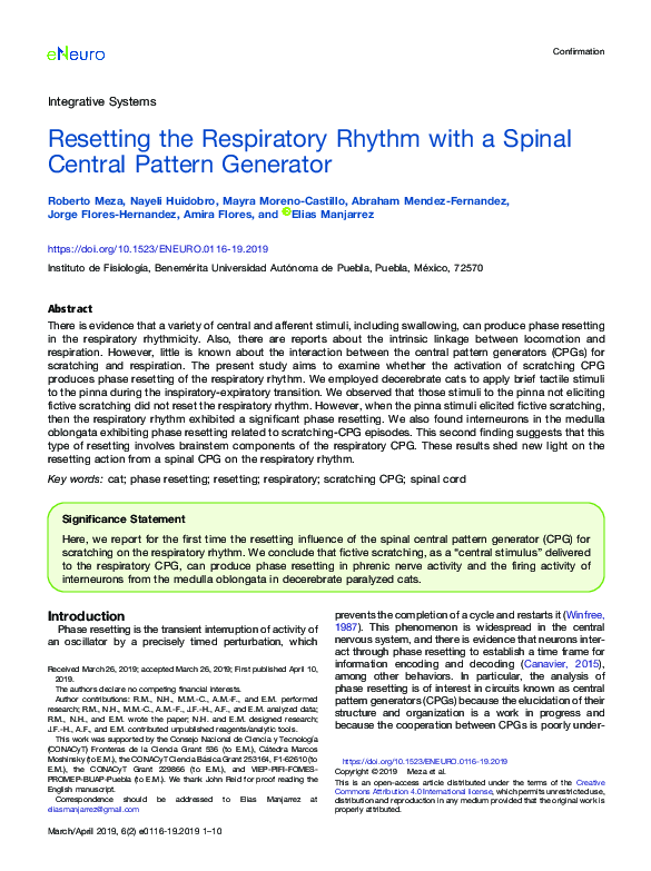 (PDF) Resetting the Respiratory Rhythm with a Spinal Central Pattern ...