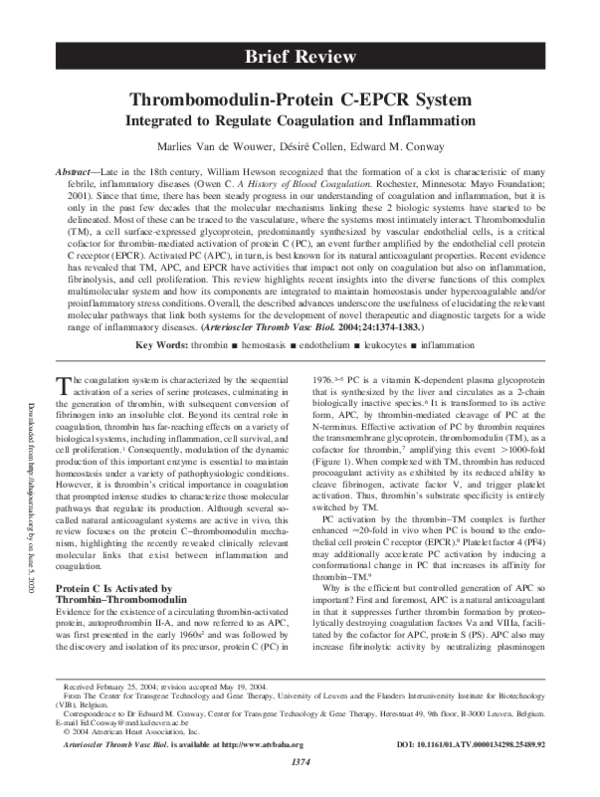 (PDF) Thrombomodulin-Protein C-EPCR System
