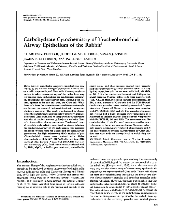 (PDF) Carbohydrate cytochemistry of tracheobronchial airway epithelium ...