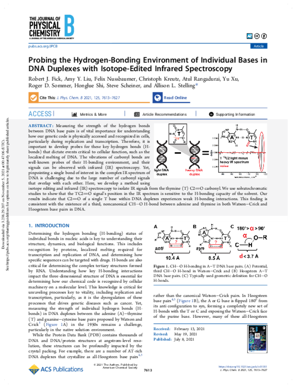 (PDF) Probing the Hydrogen-Bonding Environment of Individual Bases in ...