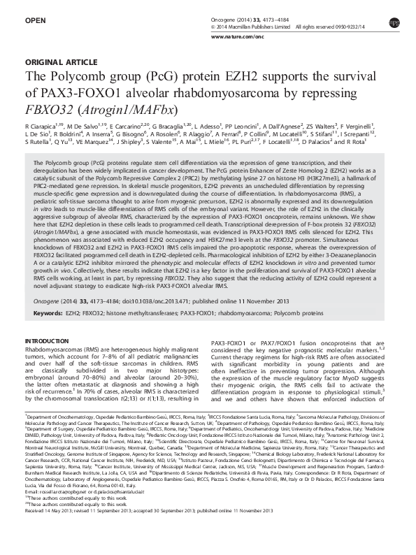 (PDF) The Polycomb group (PcG) protein EZH2 supports the survival of ...