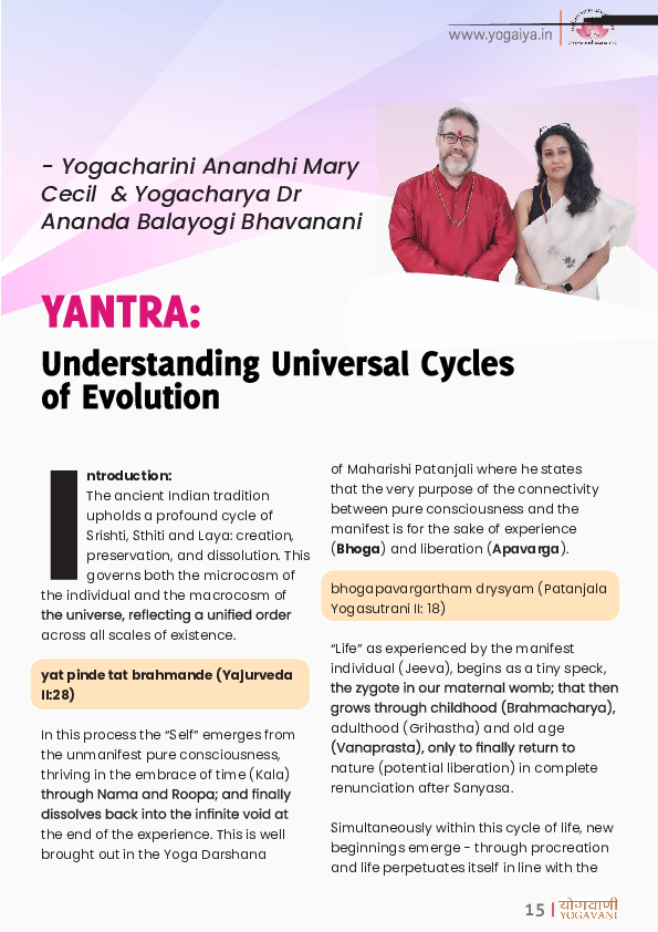 (PDF) YANTRA : Understanding Universal Cycles of Evolution.