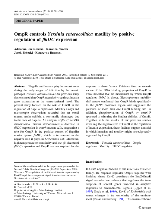 (PDF) OmpR controls Yersinia enterocolitica motility by positive ...