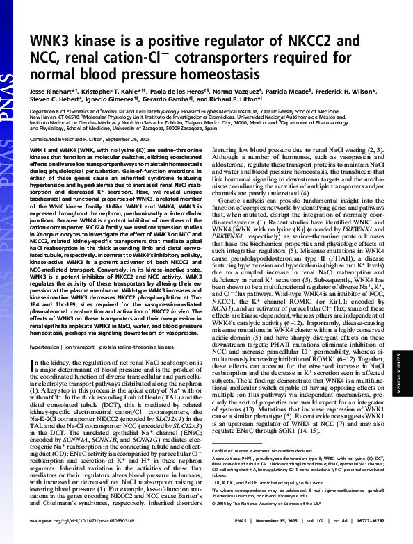 (PDF) WNK3 kinase is a positive regulator of NKCC2 and NCC, renal ...