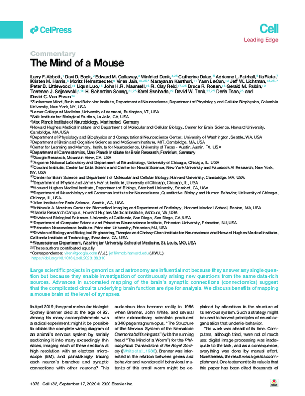 (PDF) The Mind of a Mouse