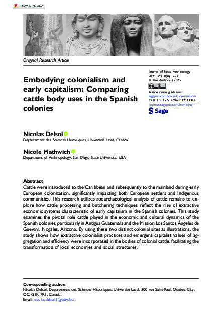(PDF) Embodying colonialism and early capitalism: Comparing cattle body uses in the Spanish colonies