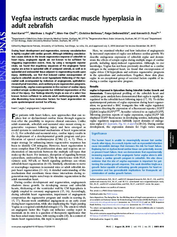 (PDF) Vegfaa instructs cardiac muscle hyperplasia in adult zebrafish