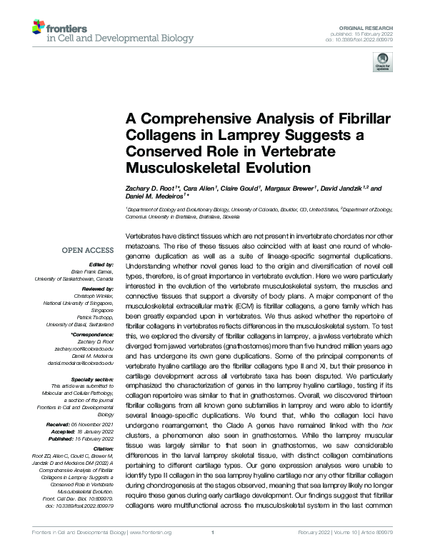 (PDF) A Comprehensive Analysis of Fibrillar Collagens in Lamprey ...