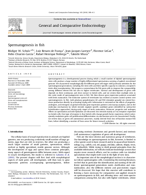 (PDF) Spermatogenesis in fish