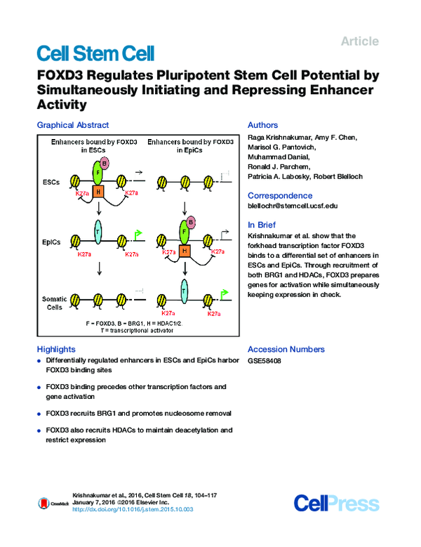 (PDF) FOXD3 Regulates Pluripotent Stem Cell Potential by Simultaneously ...