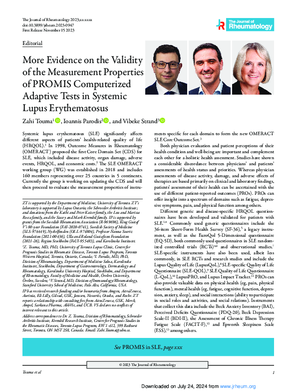 (PDF) More Evidence on the Validity of the Measurement Properties of ...