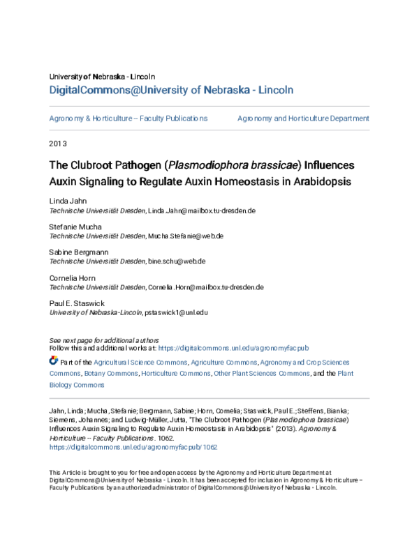 (PDF) The Clubroot Pathogen (\u3ci\u3ePlasmodiophora brassicae\u3c/i ...