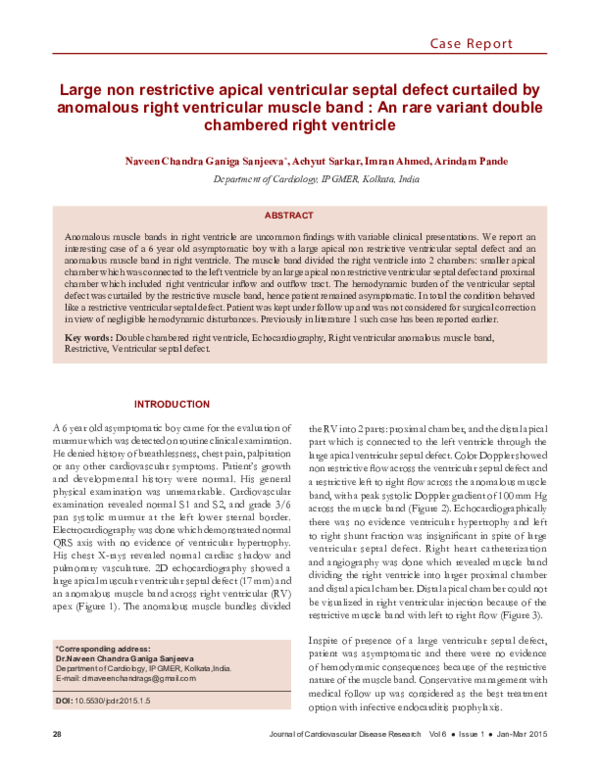 (PDF) Large non restrictive apical ventricular septal defect curtailed ...