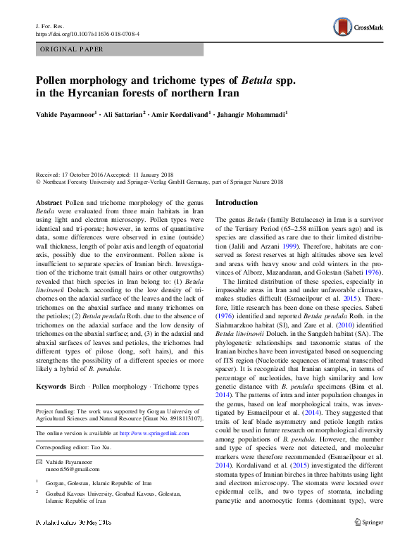 (PDF) Pollen morphology and trichome types of Betula spp. in the ...