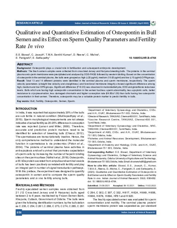 (PDF) Qualitative and Quantitative Estimation of Osteopontin in Bull Semen and its Effect on ...