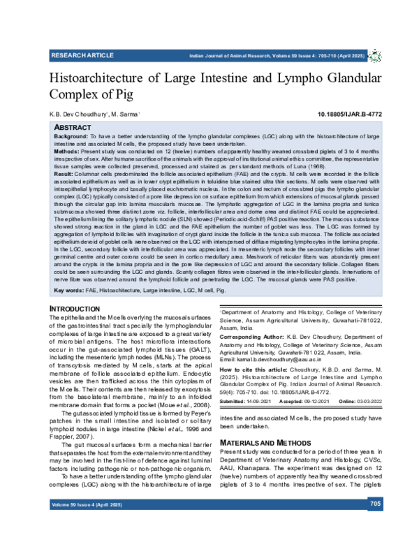 (PDF) Histoarchitecture of Large Intestine and Lympho Glandular Complex ...