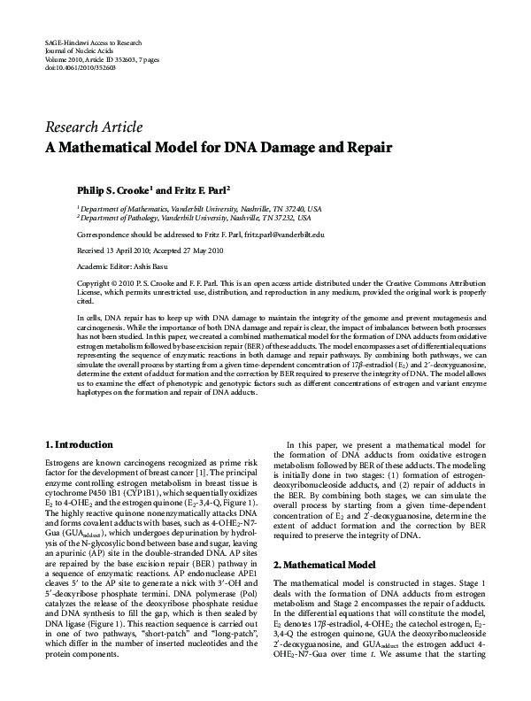 (PDF) A mathematical model for DNA damage and repair