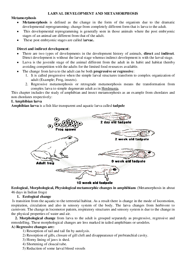 (PDF) LARVAL DEVELOPMENT AND METAMORPHOSIS