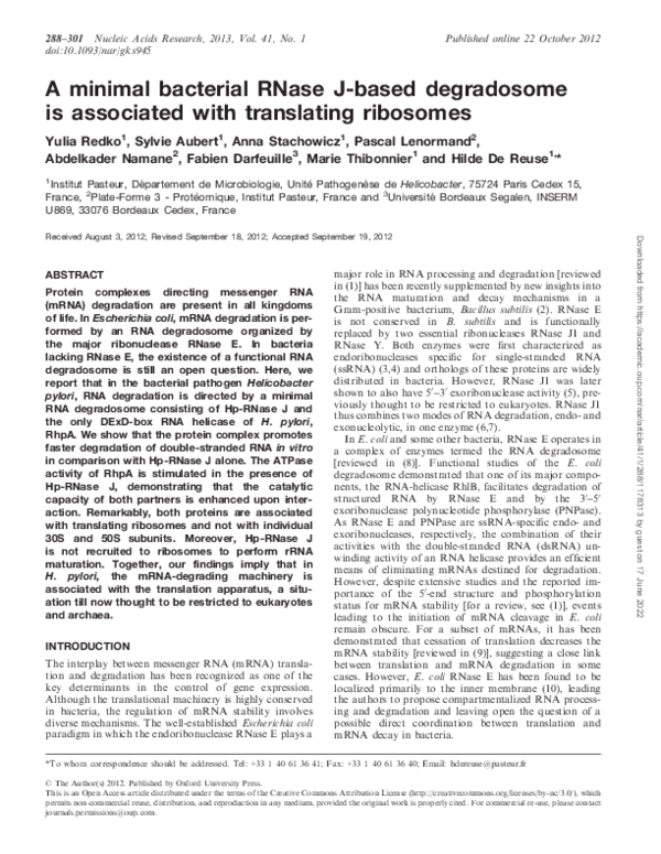 (PDF) A minimal bacterial RNase J-based degradosome is associated with ...