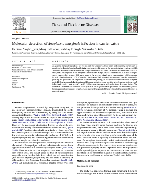 (PDF) Molecular detection of Anaplasma marginale infection in carrier ...