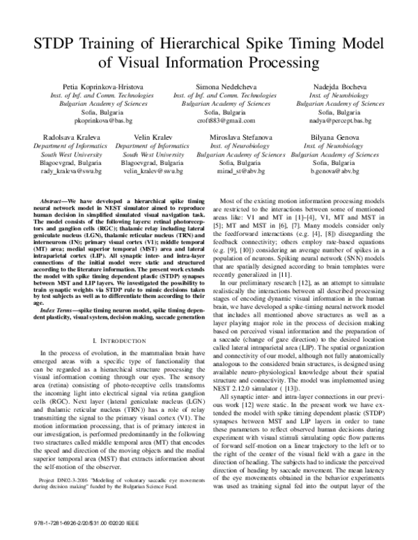 Pdf Stdp Training Of Hierarchical Spike Timing Model Of Visual Information Processing