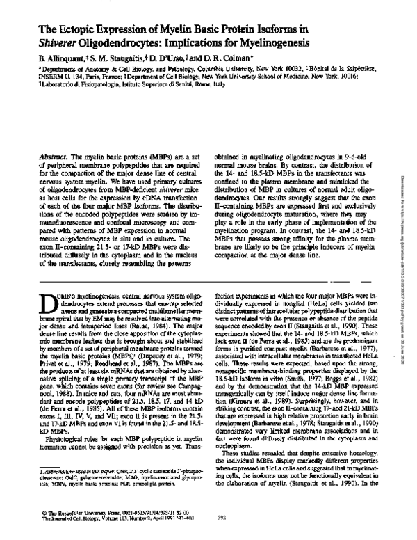 (PDF) The ectopic expression of myelin basic protein isoforms in ...