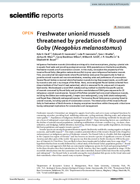 (PDF) Freshwater unionid mussels threatened by predation of Round Goby ...