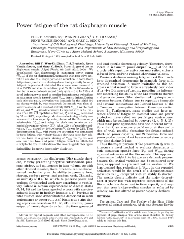 (PDF) Power fatigue of the rat diaphragm muscle
