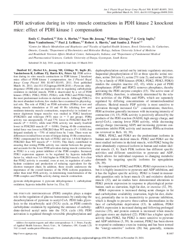 (PDF) PDH activation during in vitro muscle contractions in PDH kinase ...