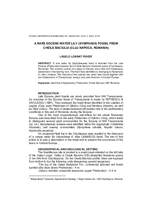 (PDF) A rare Eocene water lily (Nymphaea) fossil from Cheile Baciului ...